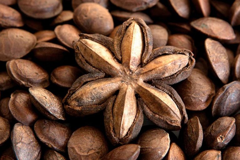 SACHA INCHI: CULTIVO CON ALTA DEMANDA POR SUS BENEFICIOS PARA LA SALUD ...