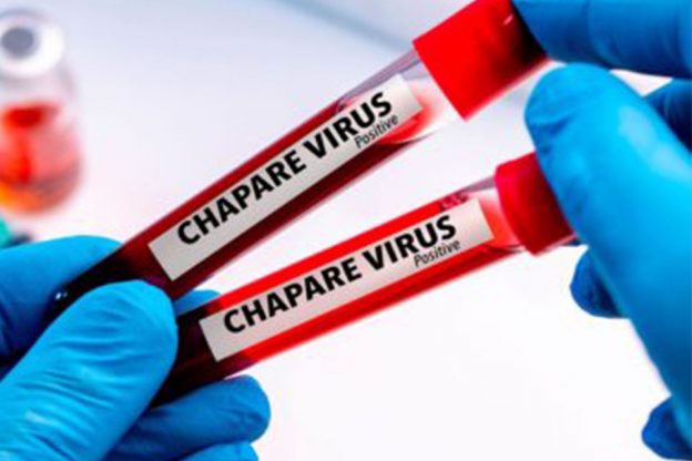 VIRUS CHAPARE: EL EXTRAÑO VIRUS QUE CAUSA ALARMA EN BOLIVIA – RCR Peru