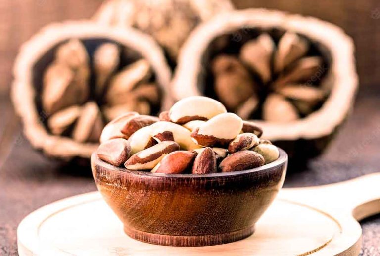 EXPORTACIÓN DE NUEZ AMAZÓNICA SUMÓ MÁS DE US$ 1 MILLÓN 803 MIL – RCR Peru