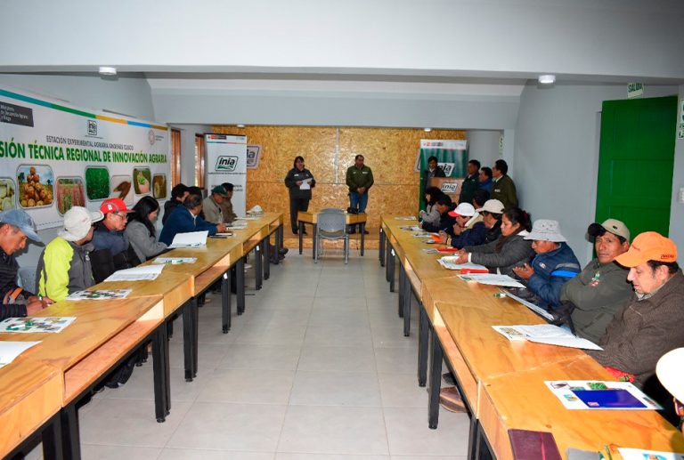 CUSCO: INIA Y UNSAC ESTABLECEN ACUERDOS PARA LA CONSERVACIÓN DE OCA ...