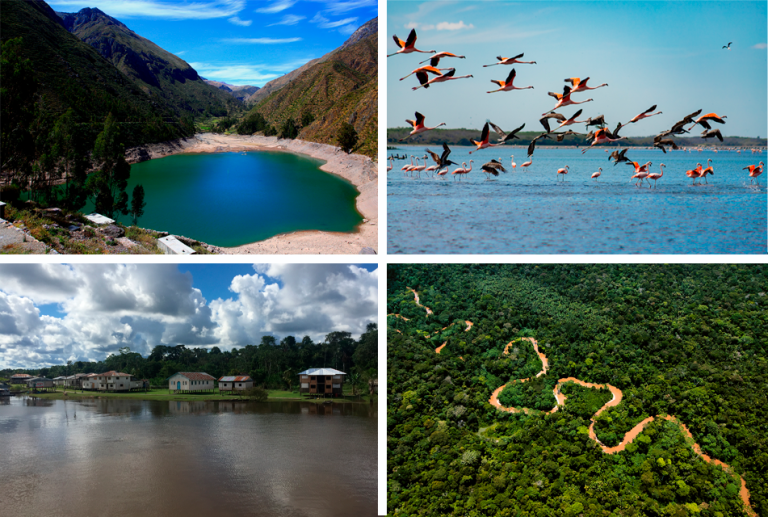 PERÚ ES UNO DE LOS 20 PAÍSES MEGADIVERSOS DEL PLANETA – RCR Peru