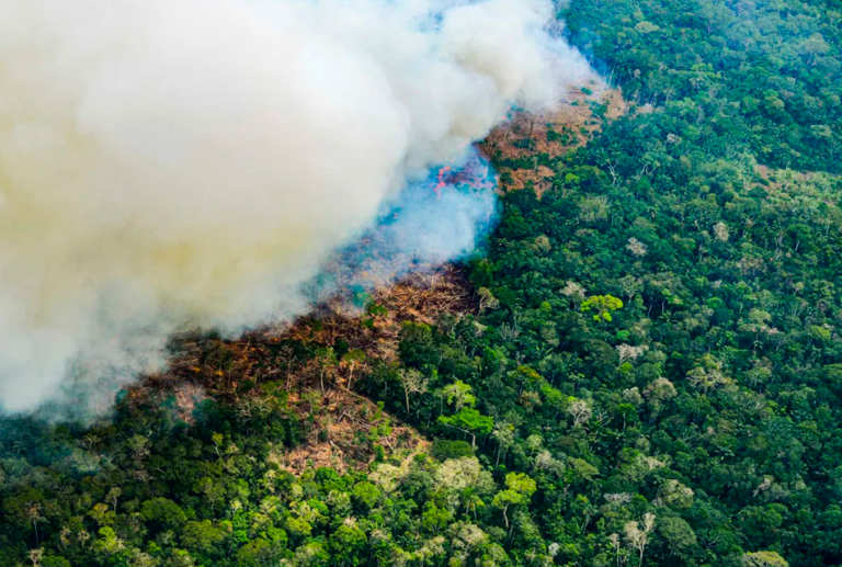 INCENDIOS FORESTALES EN LA AMAZONÍA ALCANZA ALREDEDOR DE 800 FOCOS ...