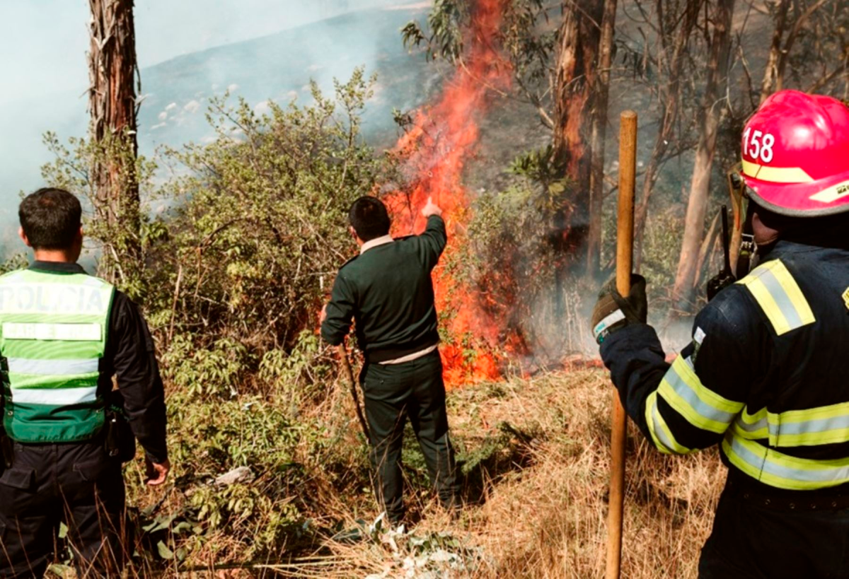 LA LIBERTAD: INCENDIOS FORESTALES ARRASAN CON MÁS DE 1,000 HECTÁREAS DE ...